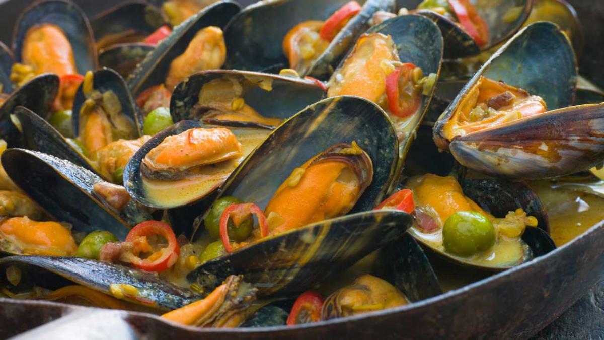 Kan østers og muslinger være forurenede? | Samvirke