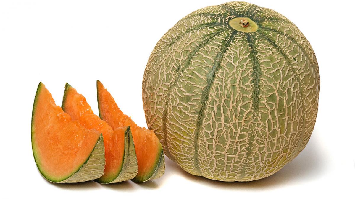 Melonguide: Kend din melon | Samvirke