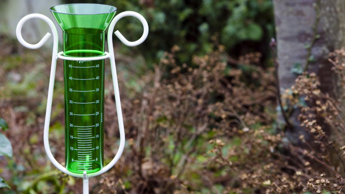 Hvor meget regn falder der i min have? | Samvirke