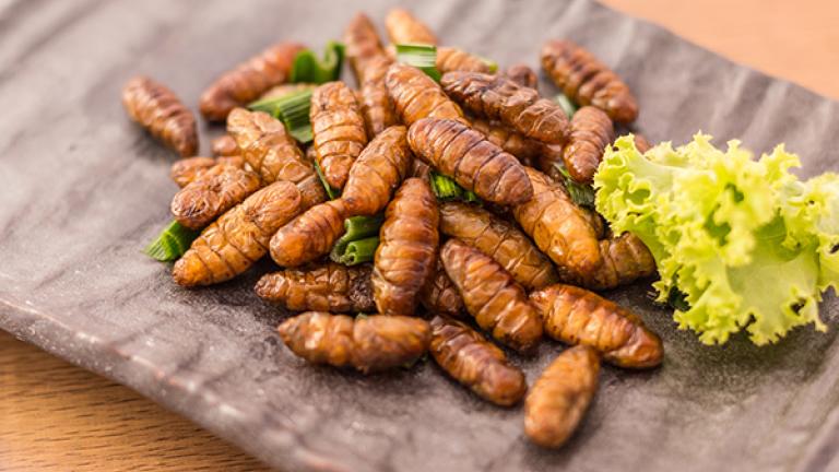 Hvad indeholder mandelessens? | Samvirke