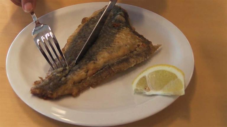 9 sjældne fisk, du (stadig) kan se i Danmark | Samvirke