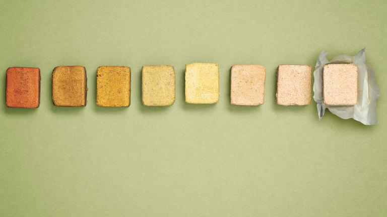 10 ting du måske ikke vidste om bouillon | Samvirke