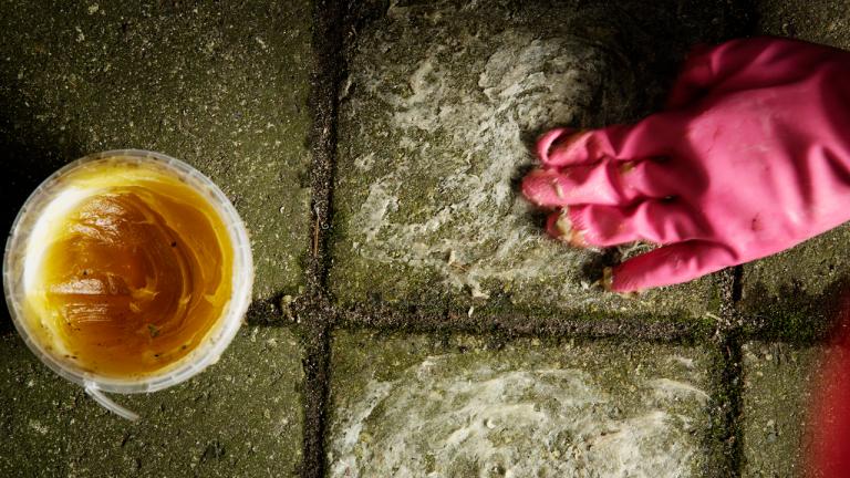 10 mejeriprodukter: Se forskellen og lær, hvad du kan bruge dem til ...