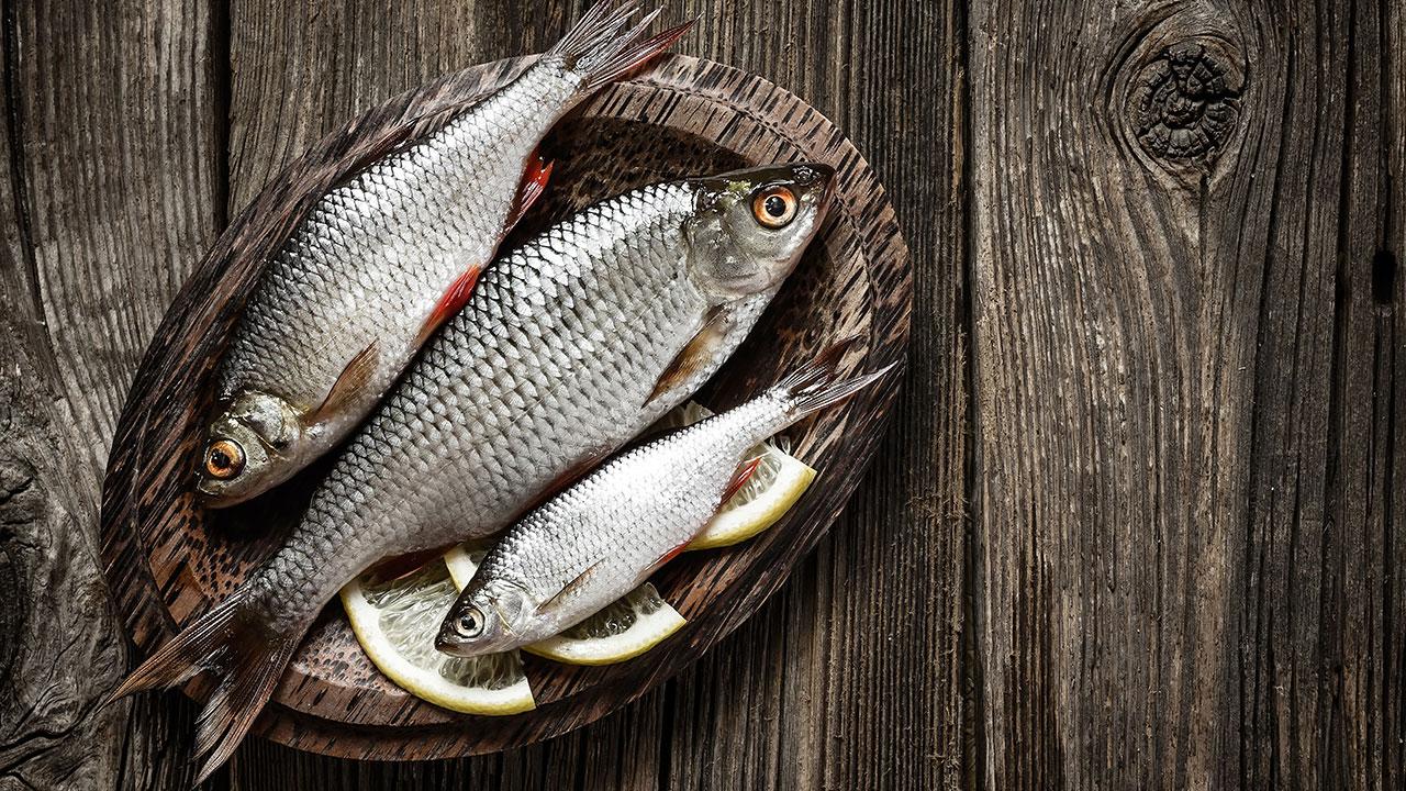 Spørgsmål og svar om hvorfor du skal spise fisk | Samvirke