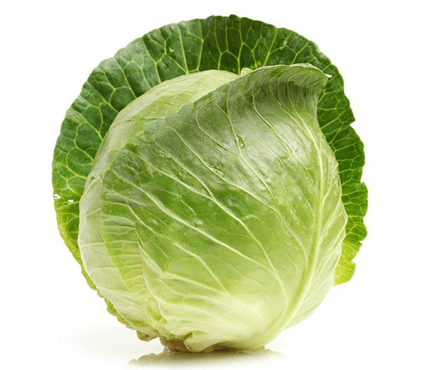 Kålguide til 11 forskellige slags kål | Samvirke