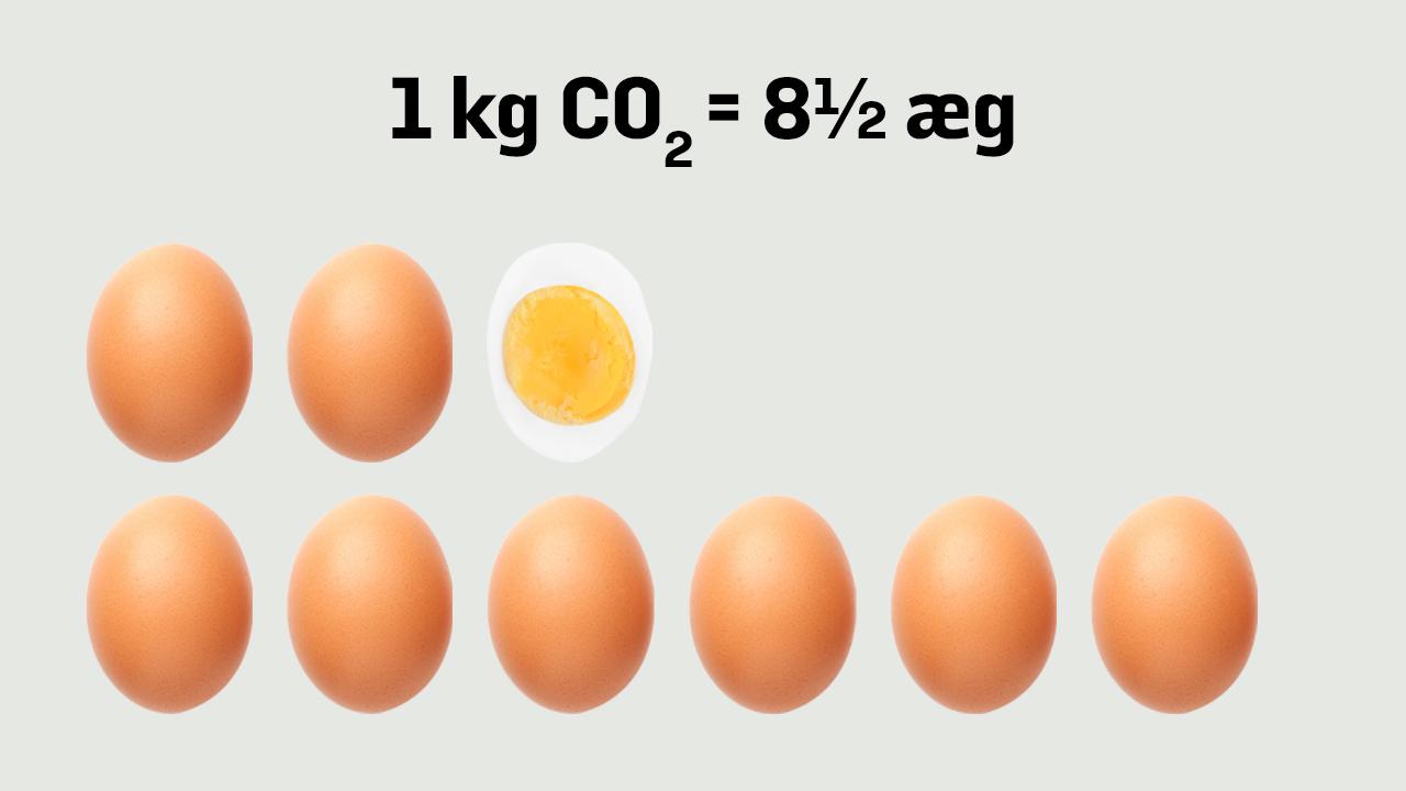 Hvor meget er 1 kg CO2? | Samvirke
